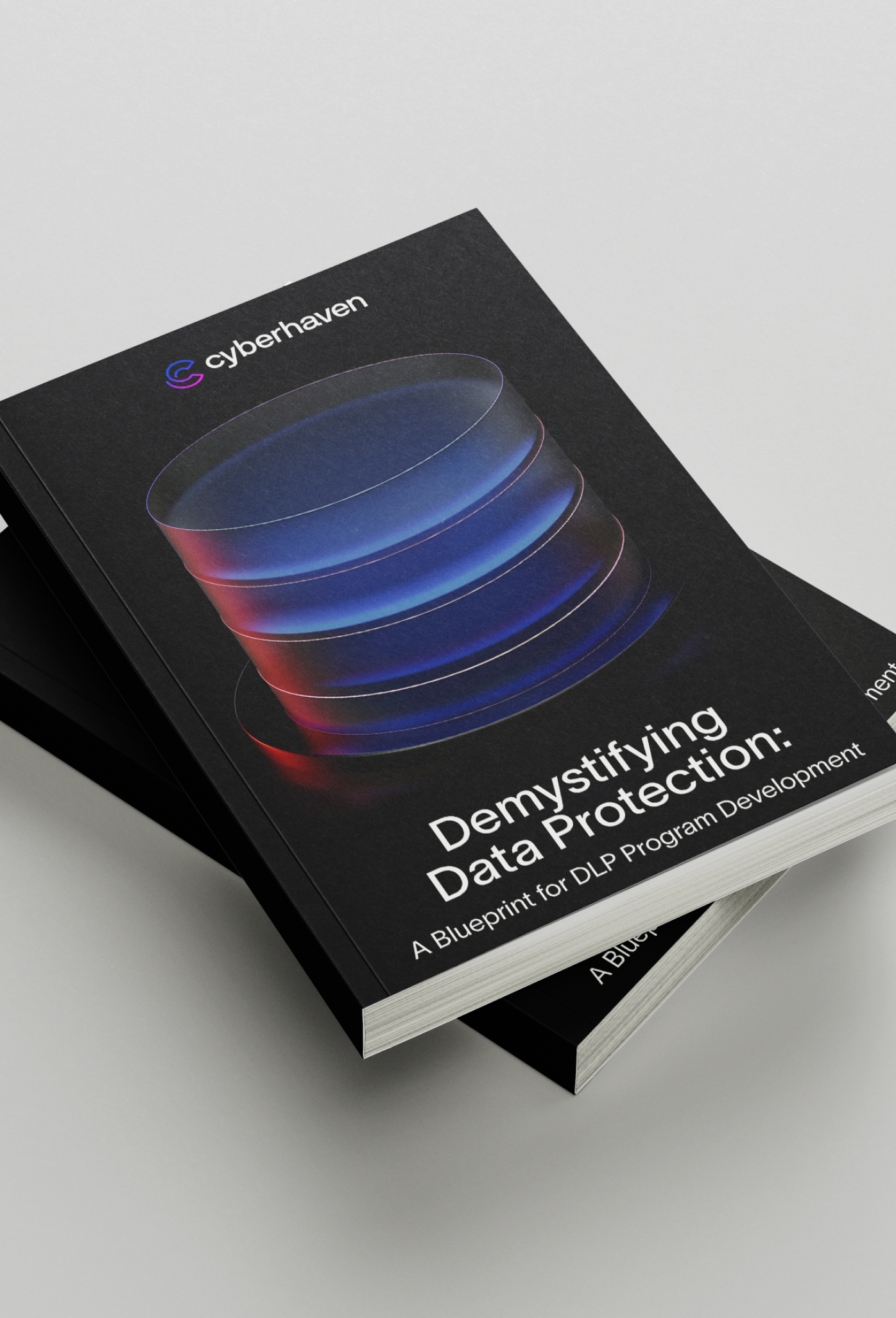 Demystifying Data Protection: A DLP Program Blueprint | Cyberhaven